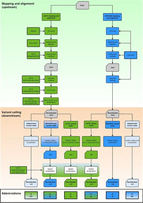 treecode genomics on linkedin dna sequencing