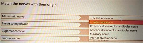 solved match the nerves with their origin masseteric nerve nerve to