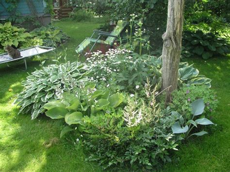 Тень.. | ВКонтакте | Cottage garden design, Garden design, Backyard garden