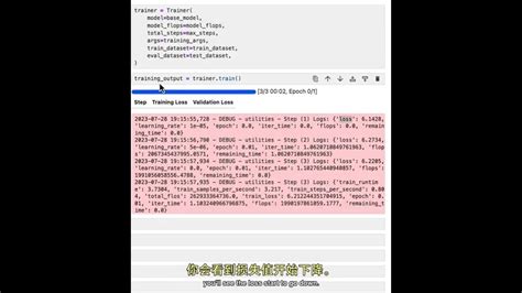 大语言模型微调之道6——训练过程 youtube