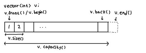 STL Vector Container