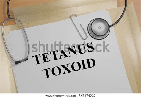 3d Illustration Tetanus Toxoid Title On Stock Illustration 567174232 Shutterstock