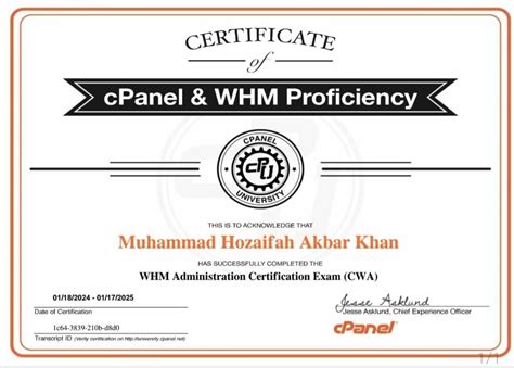 tezhost on linkedin tezhost cpanelservices webhosting