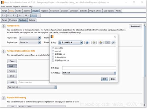 burpsuite密码爆破和基础sql注入（含安装） burpsuite sql csdn博客