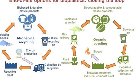 Reciclaje De Plásticos Y Alternativas Biodegradables ︎