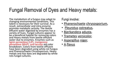 Presentation Bioremediation For Treatment Of Textile Effluentpptx