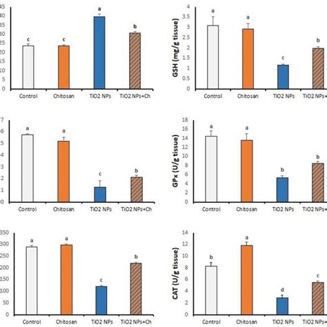 Effects Of Tio2 Nps And Or Chitosan On Testicular Oxidative Antioxidant