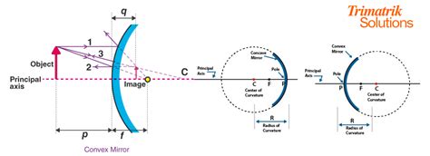 Understanding Convex Mirrors Definition Equation And Examples
