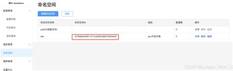 配置nacos显示nacos Registry Register Finished但是nacos页面看不到服务 Csdn博客