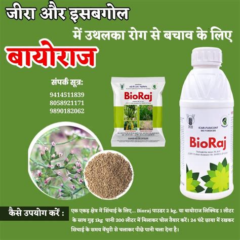 Powder Blackish Fusicont Trichoderma Reesei 1 Kg At Best Price In Belagavi