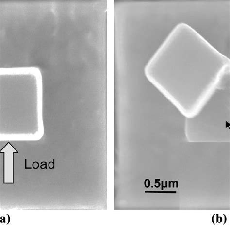 A Photograph Of FIB SEM Dual Beam Microscope Used For Interfacial Download Scientific Diagram