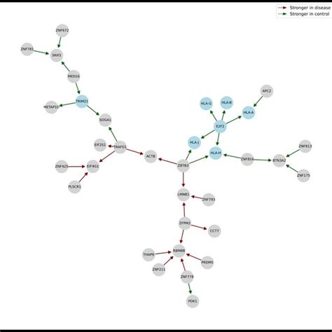 Overview Of Differential Network Methods Used For Comparison Adapted Download Scientific