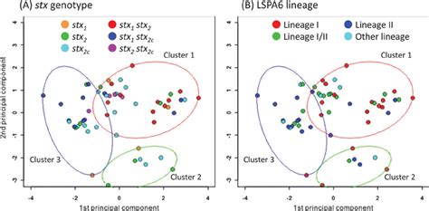 The Results Of Cluster Analysis In Biplots By Principal Component