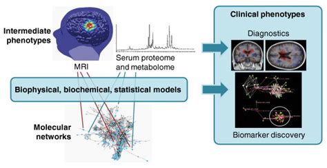 A Conceptual Bioinformatic Framework For Enabling Biomarker Discovery Download Scientific