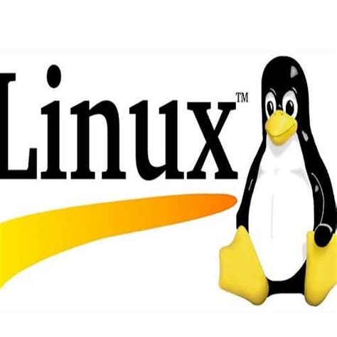 Linux Command Line Basics In Linux Youth Skills And Opportunities