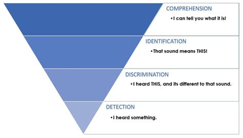 Auditory Processing Disorder Apd Assessments Adelaide Little Allied