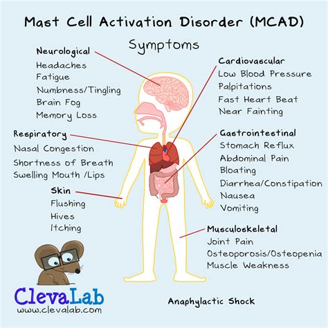 11 Mast Cell Activation Syndrome Ideas Mast Cell Activation Syndrome