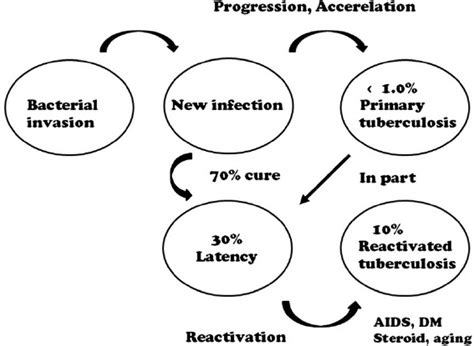 Primary Tuberculosis Infection