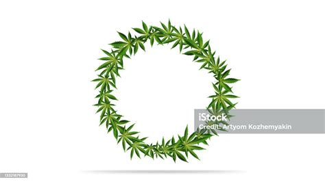 녹색 대마초 잎의 둥근 프레임 흰색 배경에 고립 대마초 잎으로 장식 된 프레임의 템플릿 0명에 대한 스톡 벡터 아트 및 기타 이미지 0명 건강관리와 의술 나뭇가지