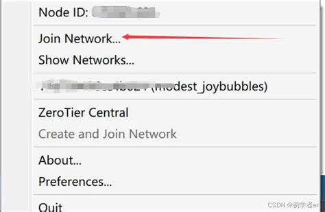 zerotier实现内网穿透详细教程，无需公网ip，实现异地组网 csdn博客