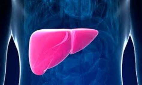How Does Pcod Influence Liver Health And Function Fitpaa