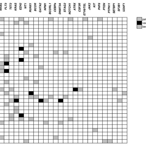 Wt1 Alterations In Different Cell Lines An Overview Of Ngs Results