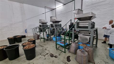 Nutcracker Processors Macadamian Nut Processing Company My Wordpress Blog