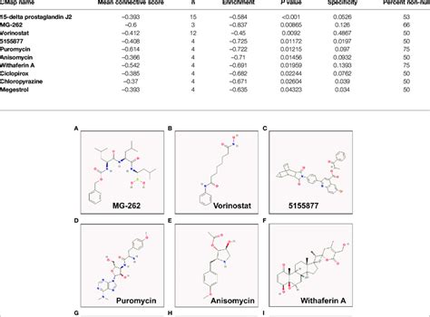 Connectivity Map Analysis Results Download Scientific Diagram