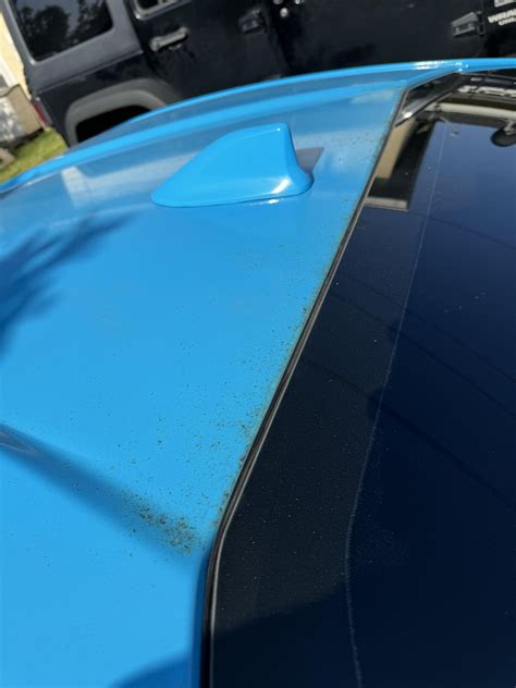 Does Anyone Know What These Moldy Looking Dots Are R Carwraps