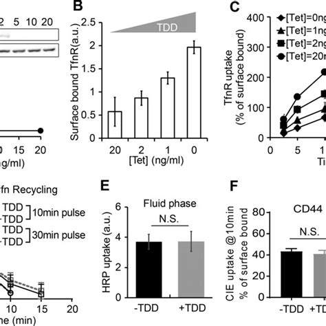 Overview Of Ap2 And Clathrin Structures A Schematic Representation Download Scientific