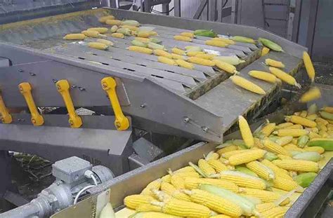 From Kernel To Product Corn Processing Explained Rice21 Grain