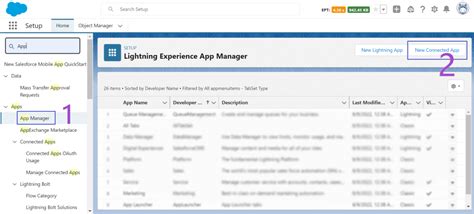 Salesforce Integration Chisel Help