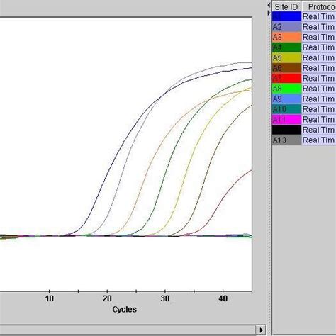 deterministic finite automata of dna pattern download scientific diagram