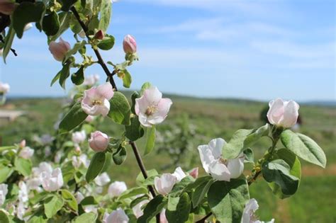 Heres What Should Be On Your Early Spring ‘to Do List Weekend In The