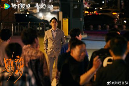 鹦鹉（2025年张睿、于景亮执导的卧底剧）百度百科