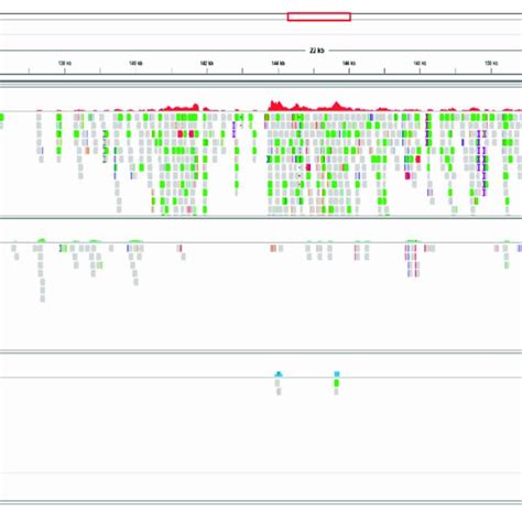 High Throughput Sequencing Data Analysis Panels Show The Differences
