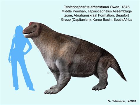 Tapinocephalus By Ntamura On Deviantart