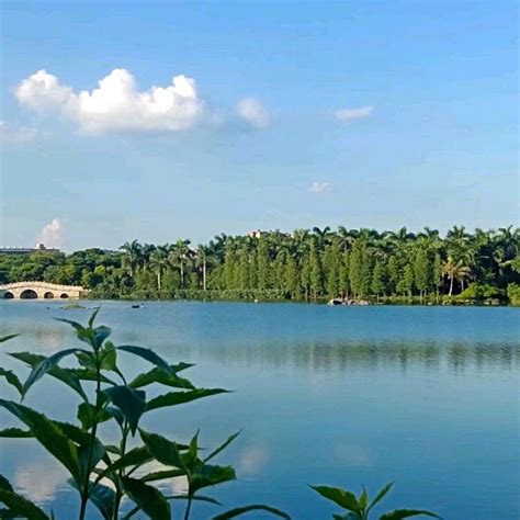 兔子给我的启示。楼顶上公兔母兔