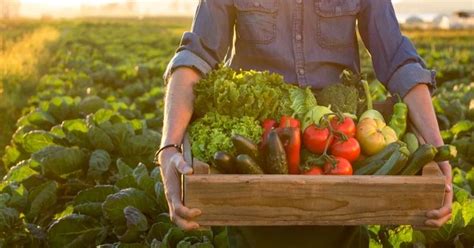 ფერმა ნერგები ფერმერთა ასოციაცია Facebook