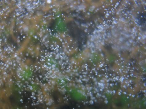 Frozen Layers John Grzinich