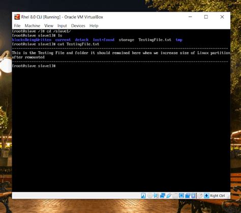 increase and decrease size of static linux partitions devops