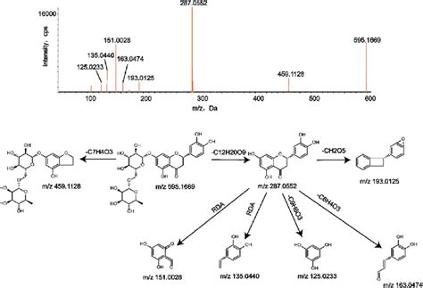 Msms Spectrum Of Eriocitrin And Its Predominant Fragmentation Pathways