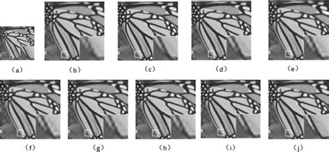 Different Resolution Reconstruction Algorithms Of Butterfly For Image