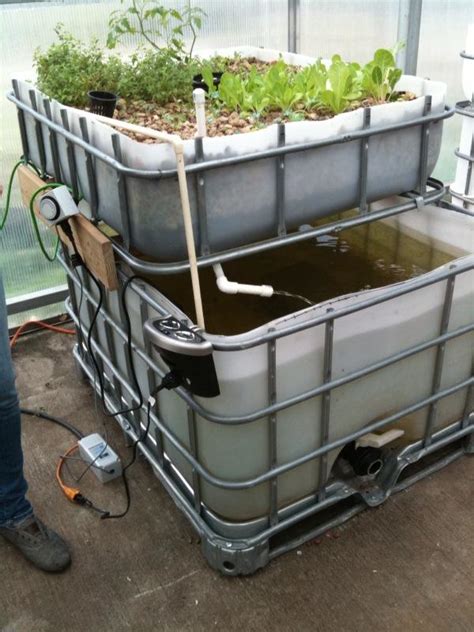 Single Ibc Tote Unit Urban Fish Farmer Single Ibc Tote Unit Urban Fish Farmer