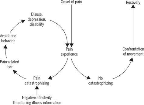 Frontiers Identifying Motor Control Strategies And Their 45 Off