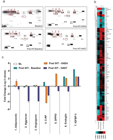Cytokine Array For Assessment Of Inflammatory Signaling A