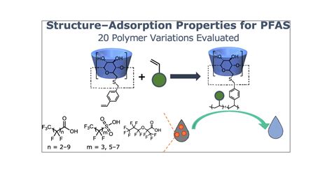 Structural Features Of Styrene Functionalized Cyclodextrin Polymers That Promote The Adsorption