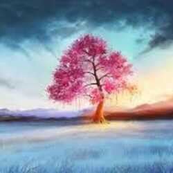 会所约炮 真实破处 高中表姐 内射初中生 针孔摄像头 初中学妹破处 射精 磁力链接 电报群 telegram group Telghub