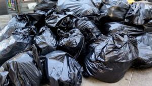 Soñar Con Gusanos De Basura Significado E Interpretaciones