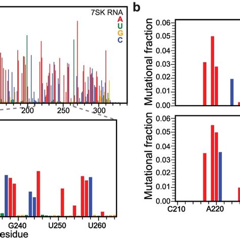 7sk Rna Sl3 Construct Design And Nmr Evidence Of Conformational Download Scientific Diagram
